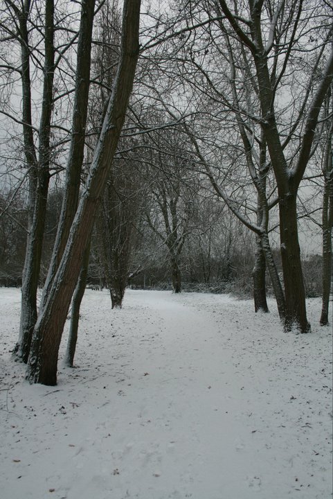 snoey – literarylandscapes